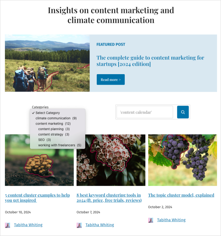 7 examples of content pillars [2025 edition] – Tabitha Whiting: High ...