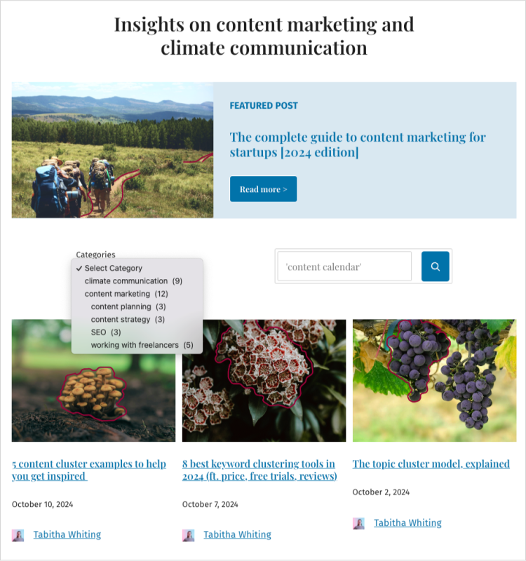 7 examples of content pillars [2025 edition] – Tabitha Whiting: High ...